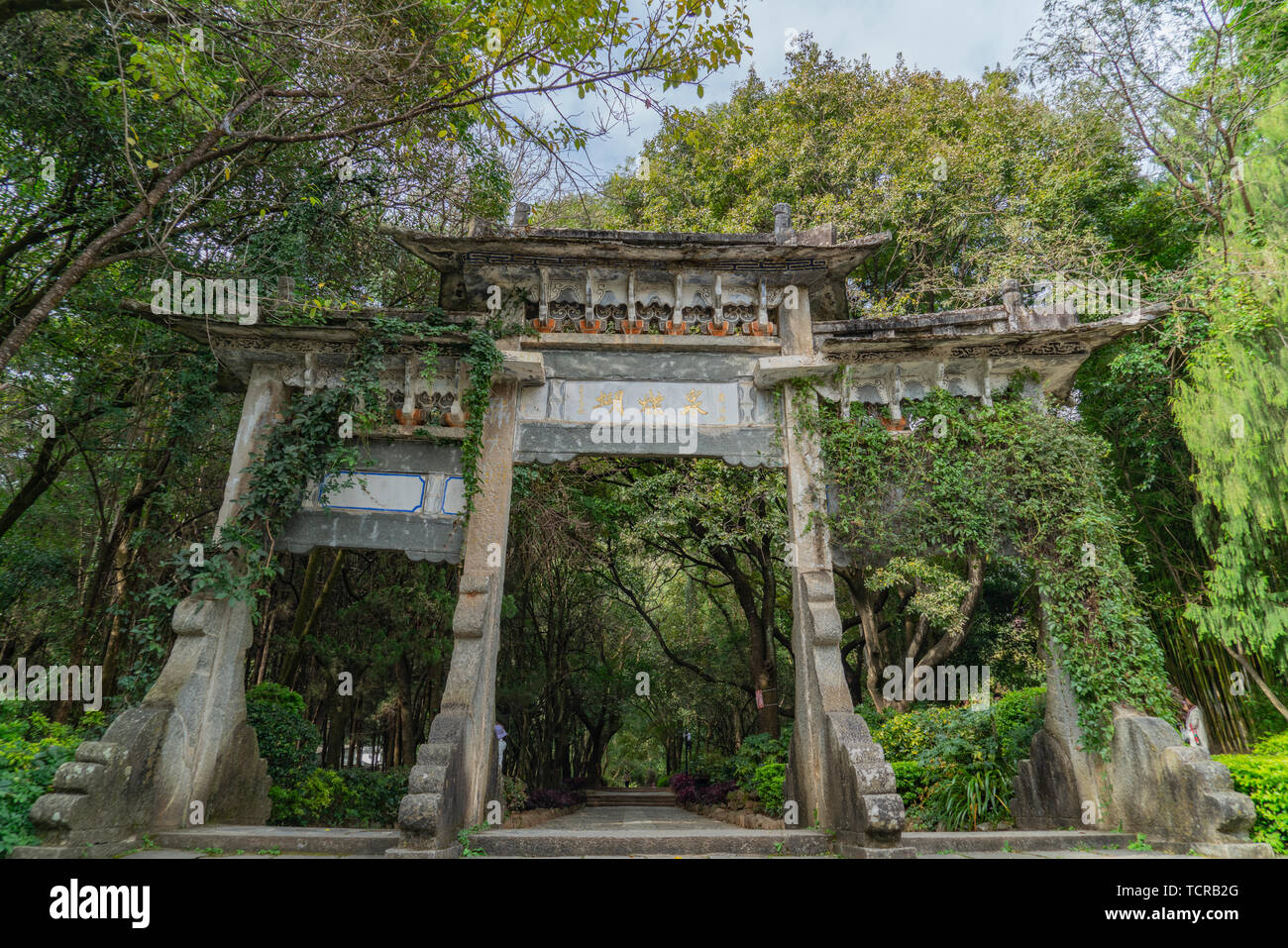 Dali Butterfly Spring Scenery High Resolution Stock Photography and ...