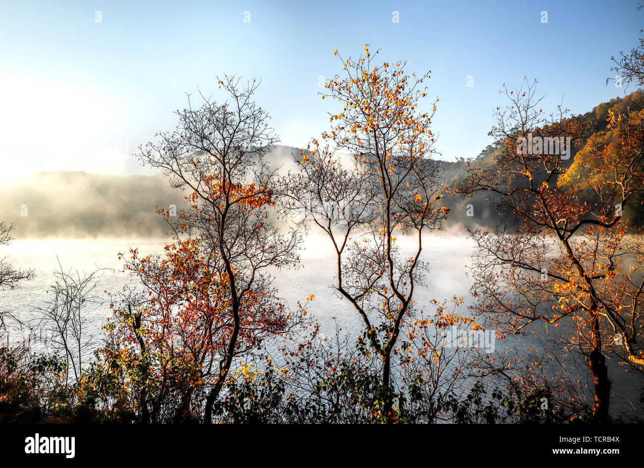 Late winter ink painting Stock Photo - Alamy