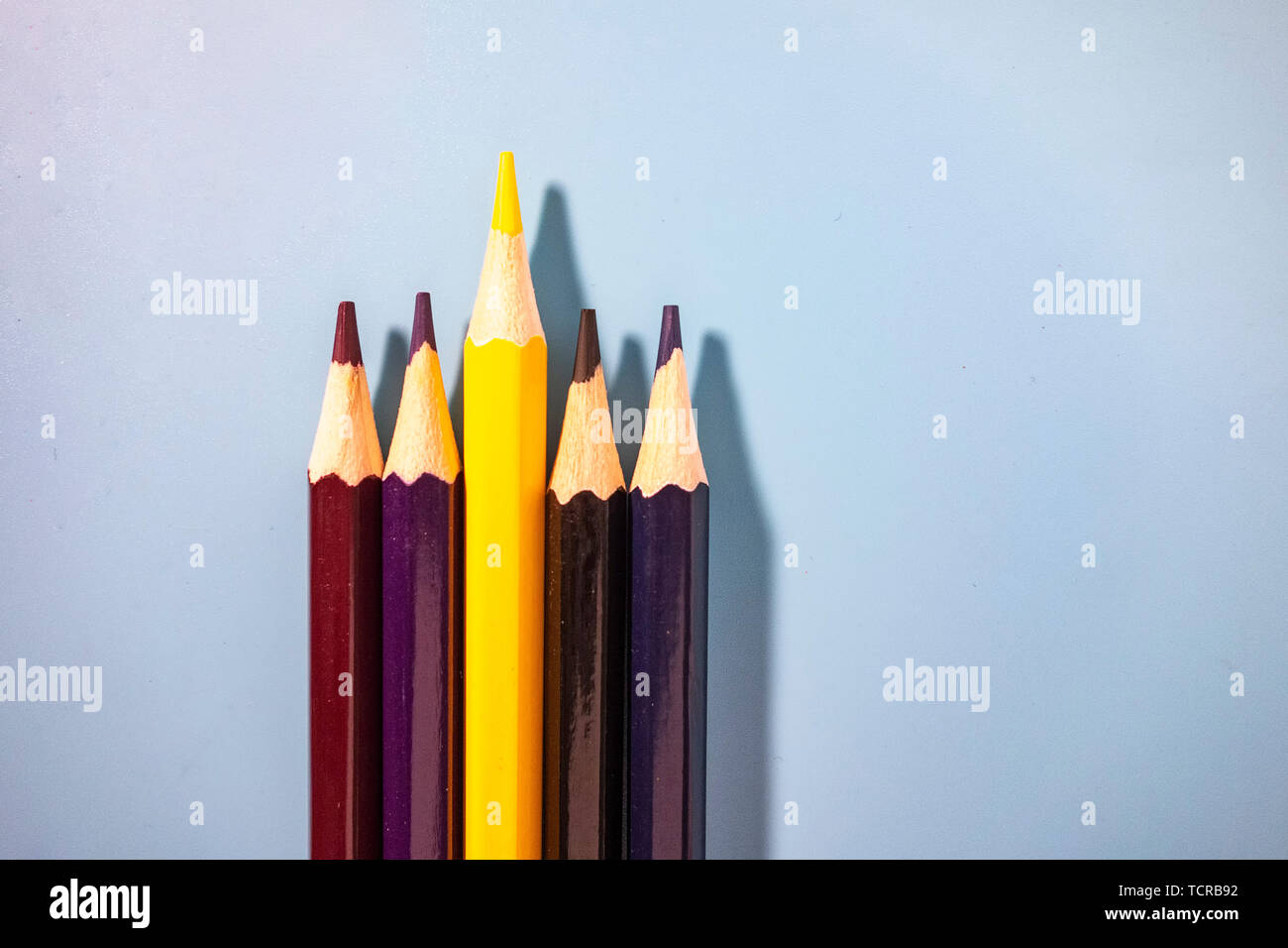 A neatly arranged colored pencil Stock Photo - Alamy