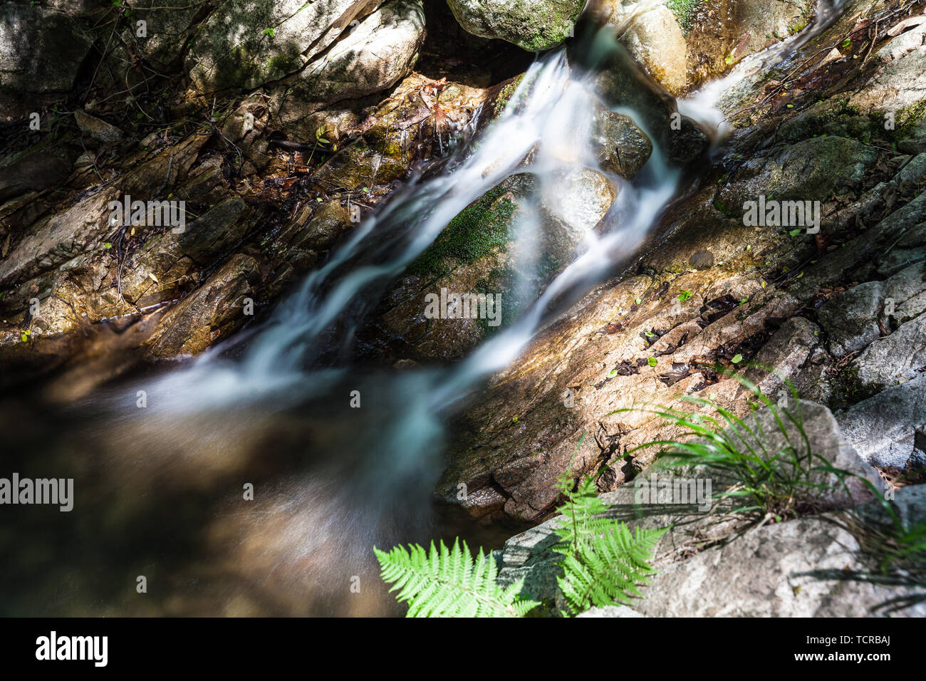 Creek flowing rocks Stock Photo - Alamy