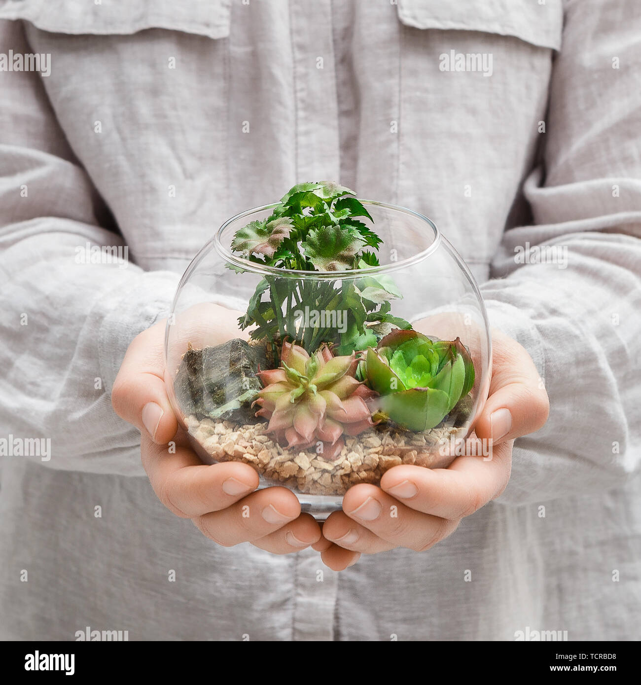 Glass florarium hi-res stock photography and images - Alamy