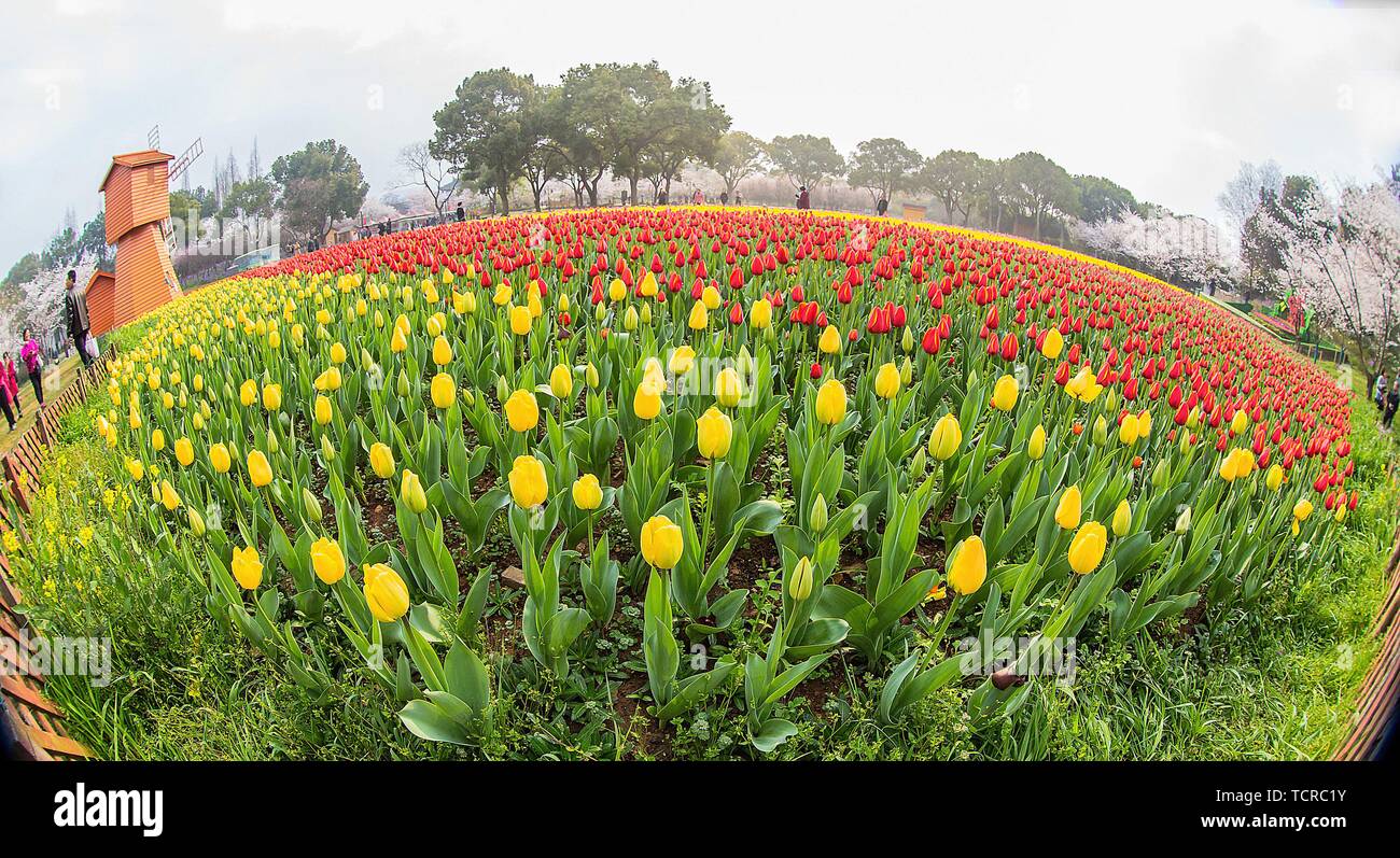 Suzhou, Shangfangshan, Hundred Flower Festival Stock Photo - Alamy