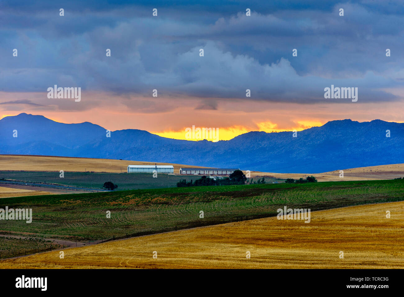 Caliden hi-res stock photography and images - Alamy