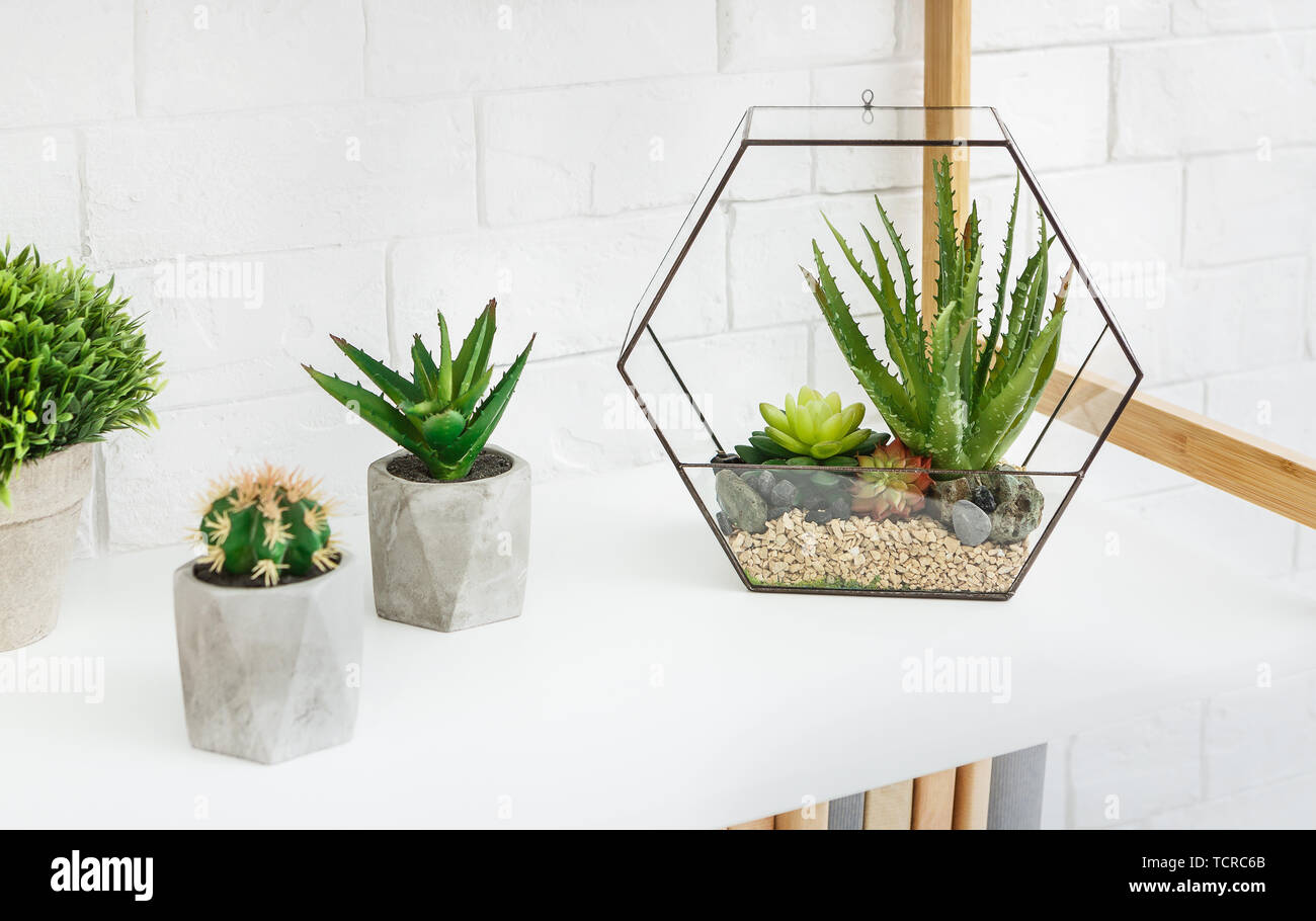 Florarium vase hi-res stock photography and images - Alamy