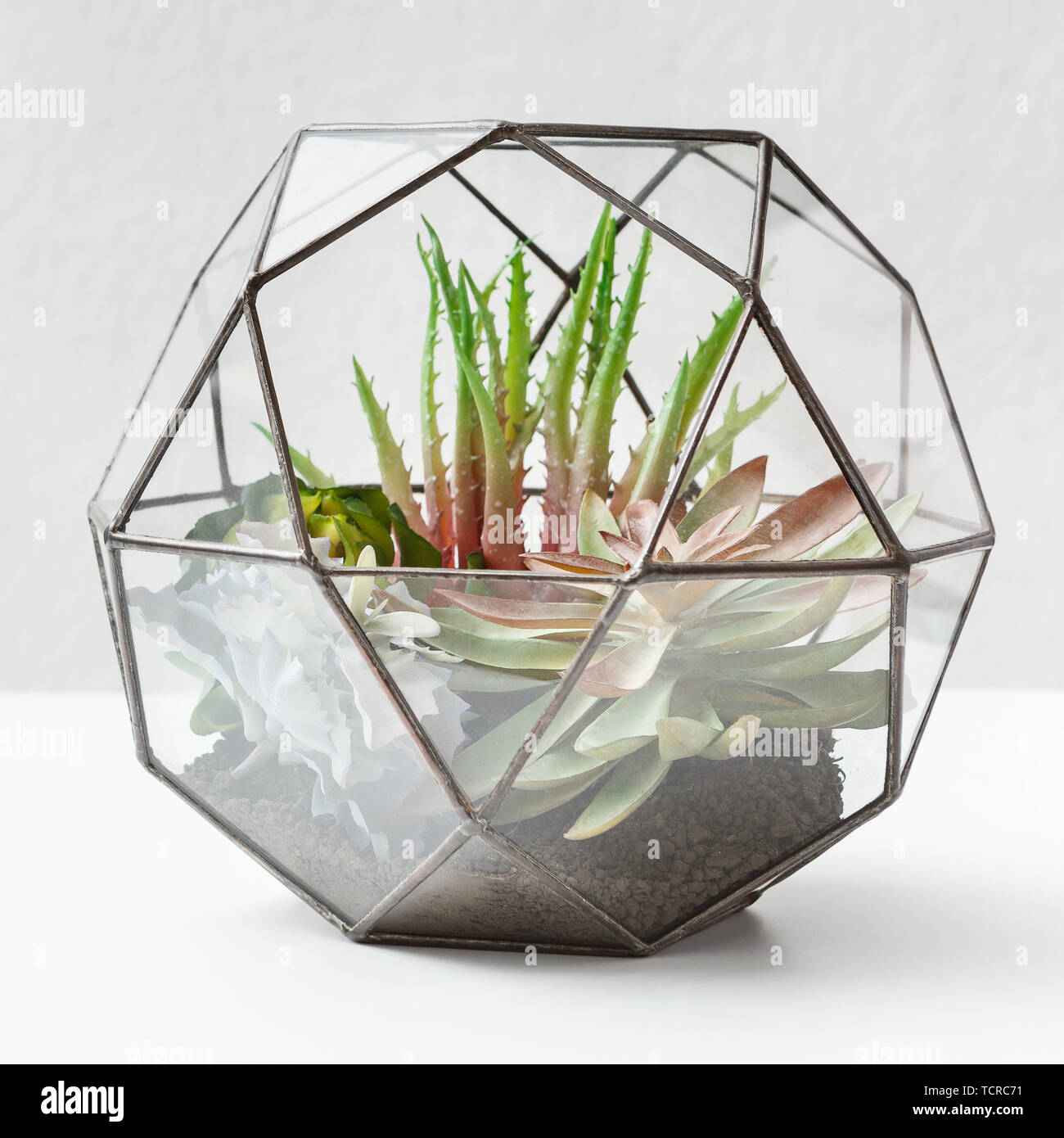 Home garden concept Stock Photo - Alamy