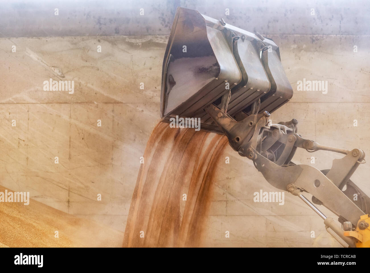 Wheel loader close up, excavator loading sand at construction site ...