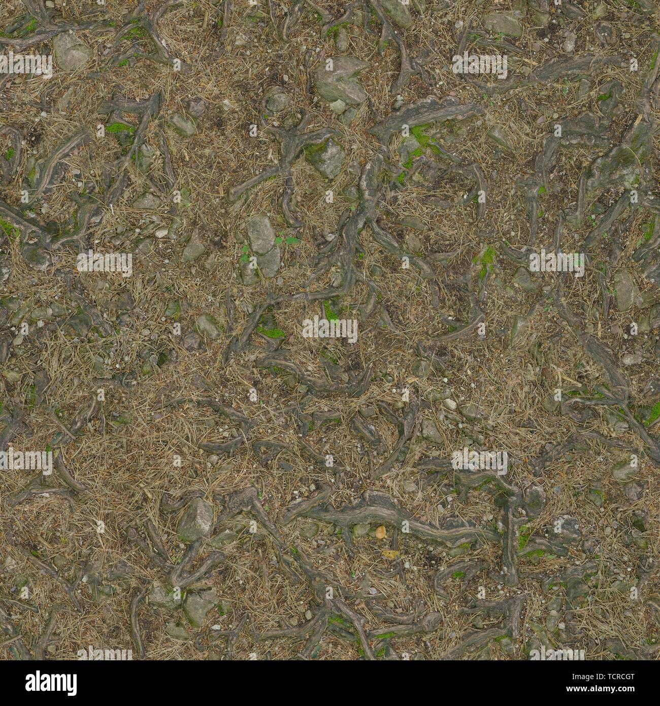 Dry underfoot hi-res stock photography and images - Alamy