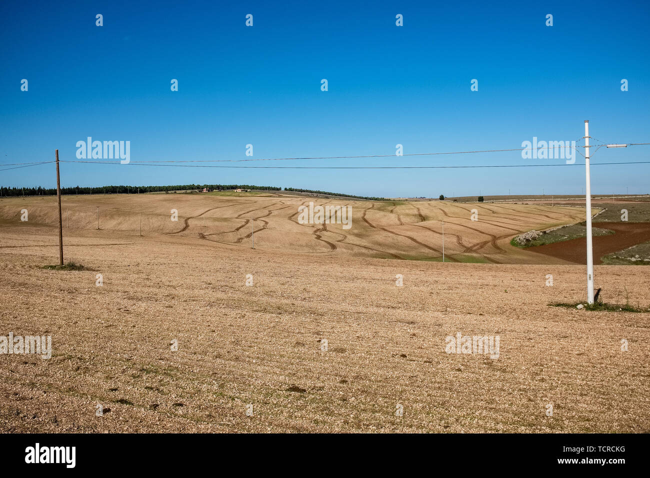 Agricultural landscape of Murgia plateau. Apulia region, Italy Stock ...