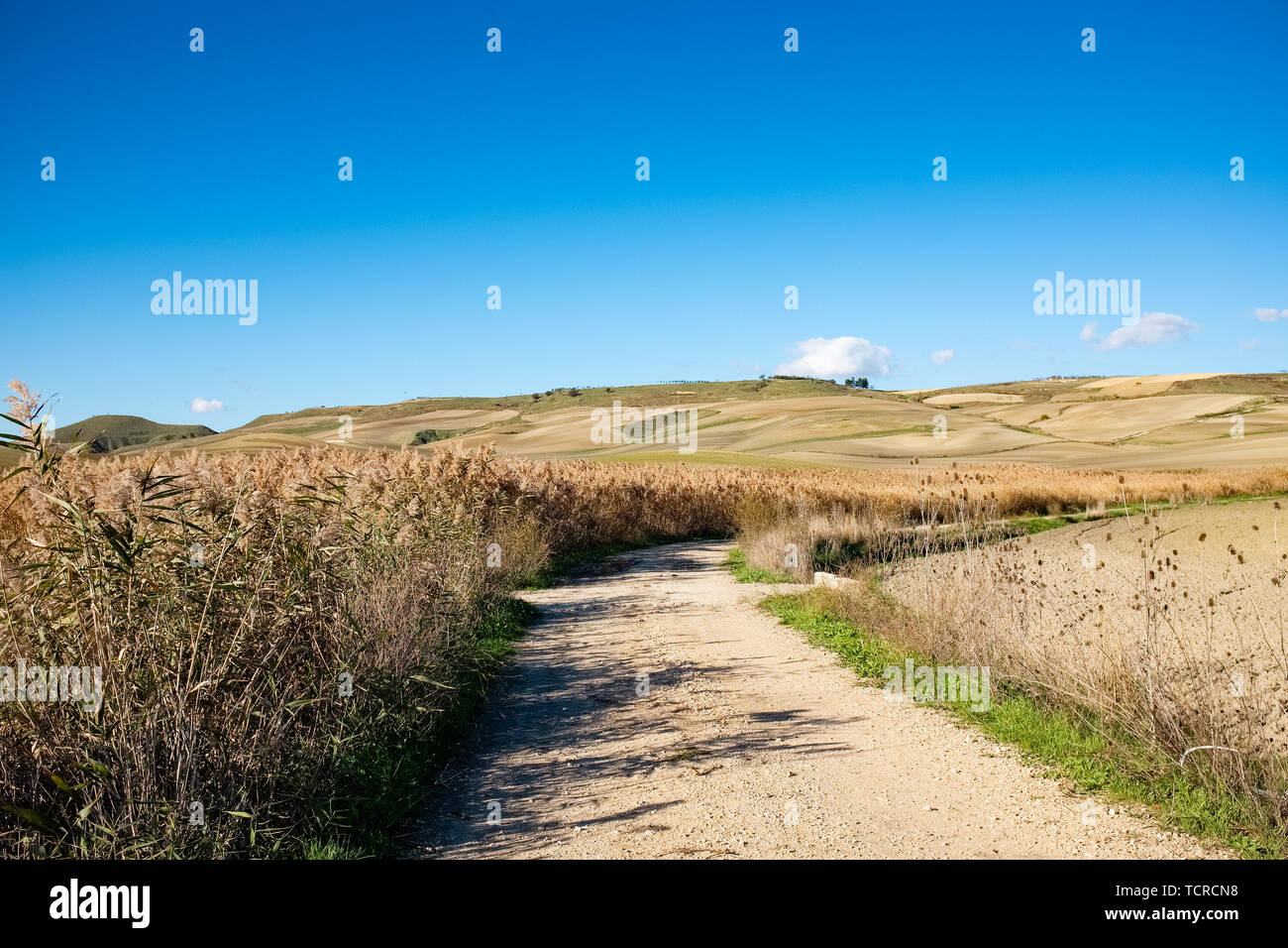 Agricultural landscape of Murgia plateau. Apulia region, Italy Stock ...