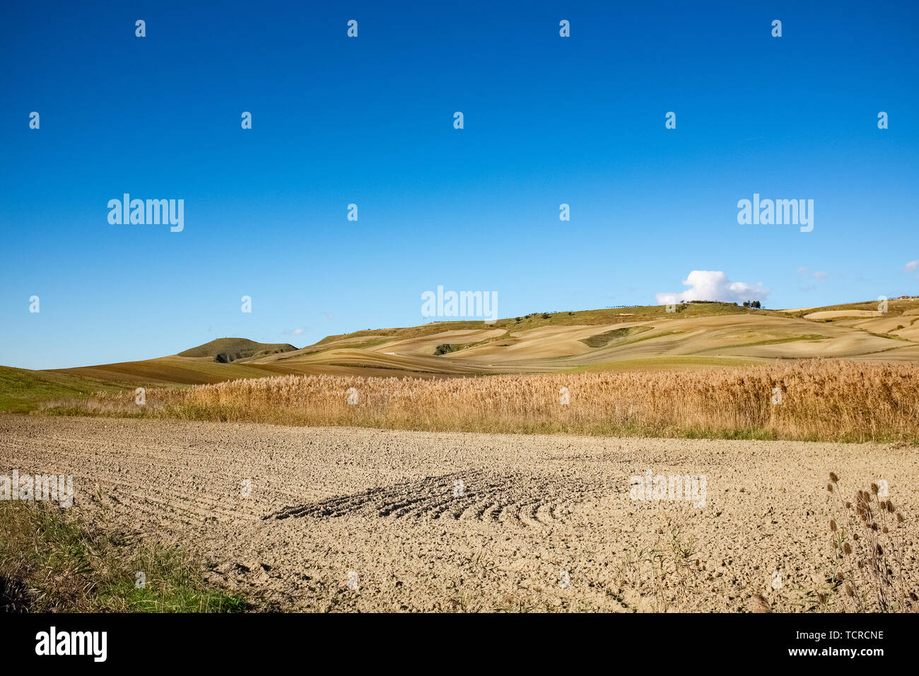 Agricultural landscape of Murgia plateau. Apulia region, Italy Stock ...