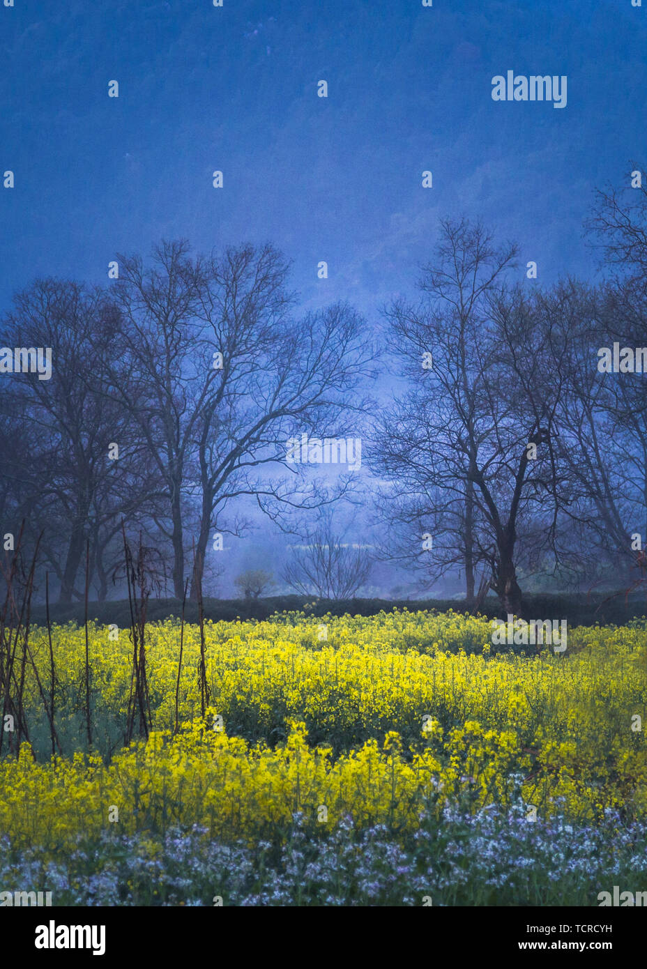 Damei scenery map Stock Photo - Alamy