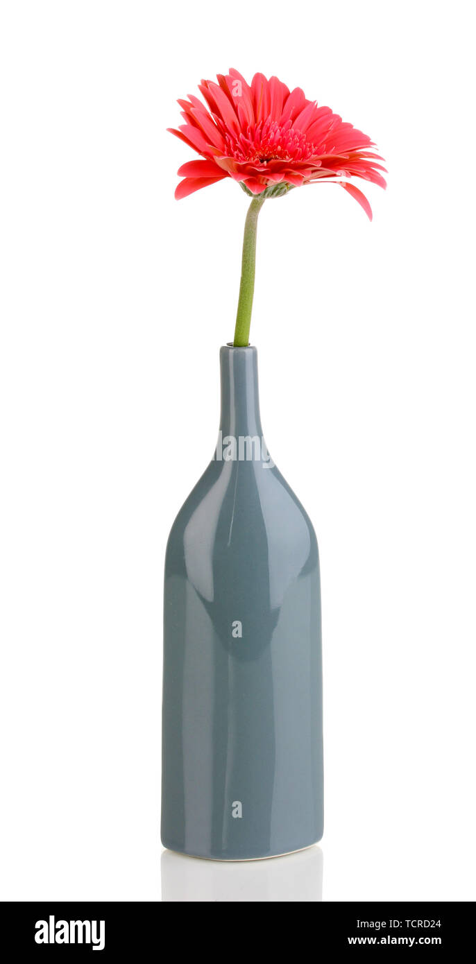 Beautiful gerbera in vase isolated on white Stock Photo - Alamy