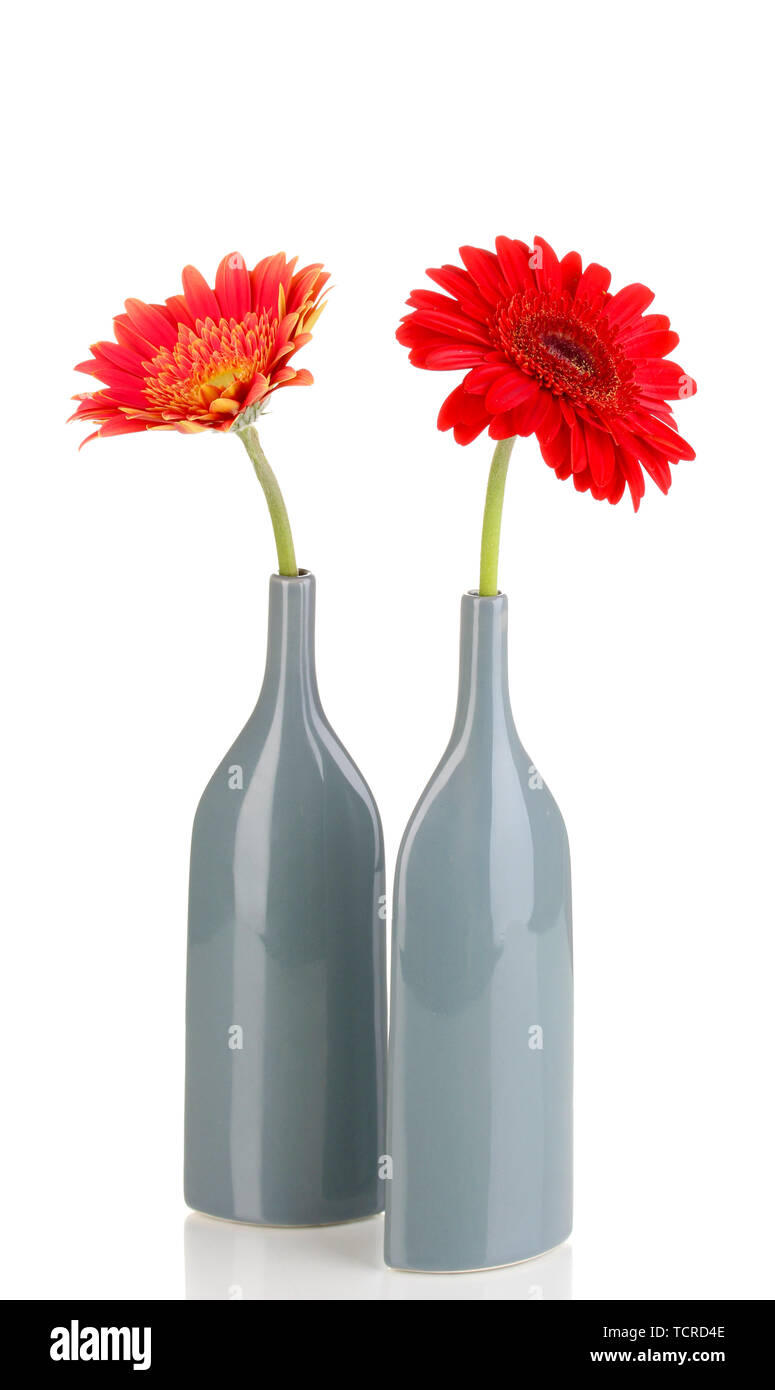 Beautiful gerber in vase isolated on white Stock Photo - Alamy