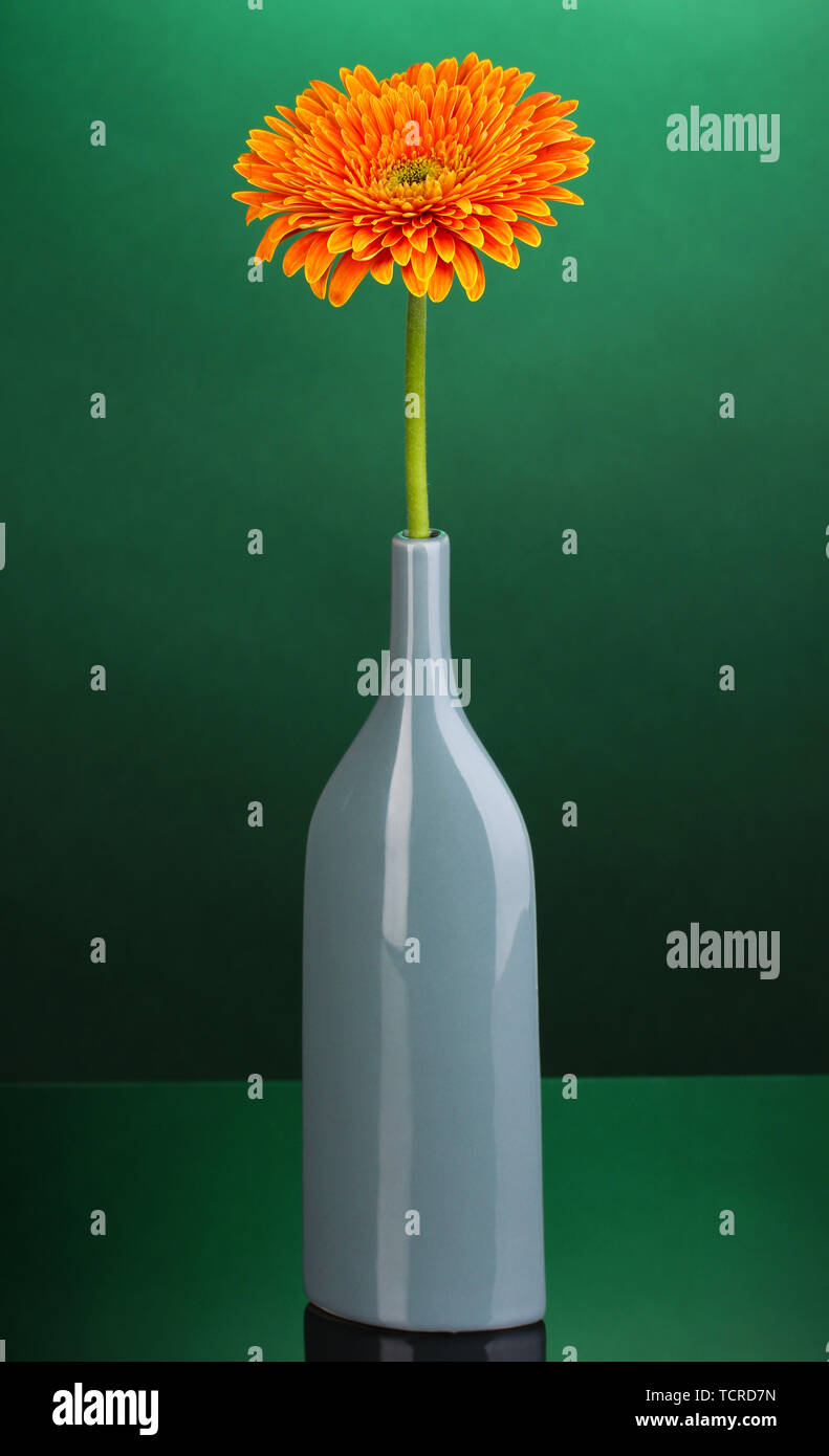 Beautiful gerbera in vase on green background Stock Photo - Alamy