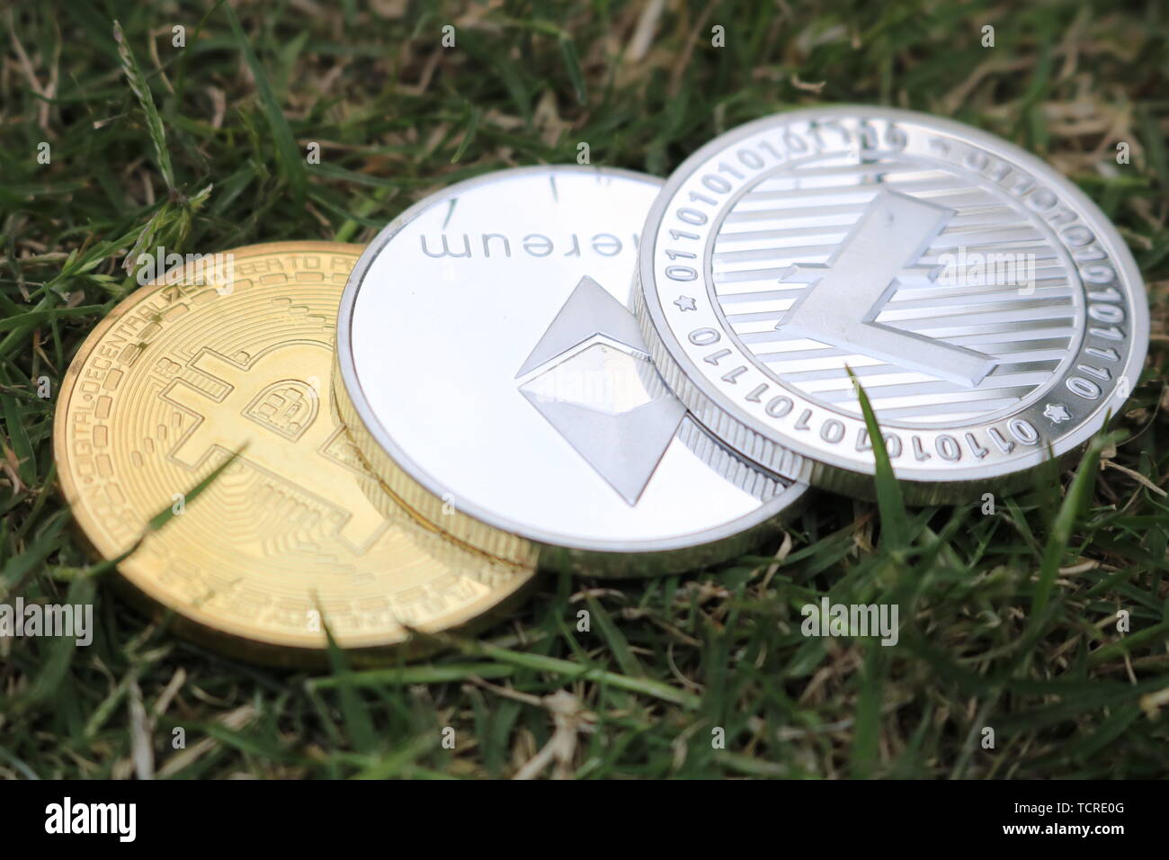 Lewter High Resolution Stock Photography and Images - Alamy