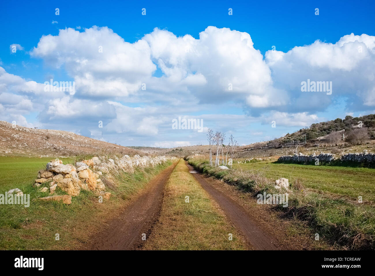 Landscape of Murgia plateau, wild countryside of Apulia. Italy Stock ...