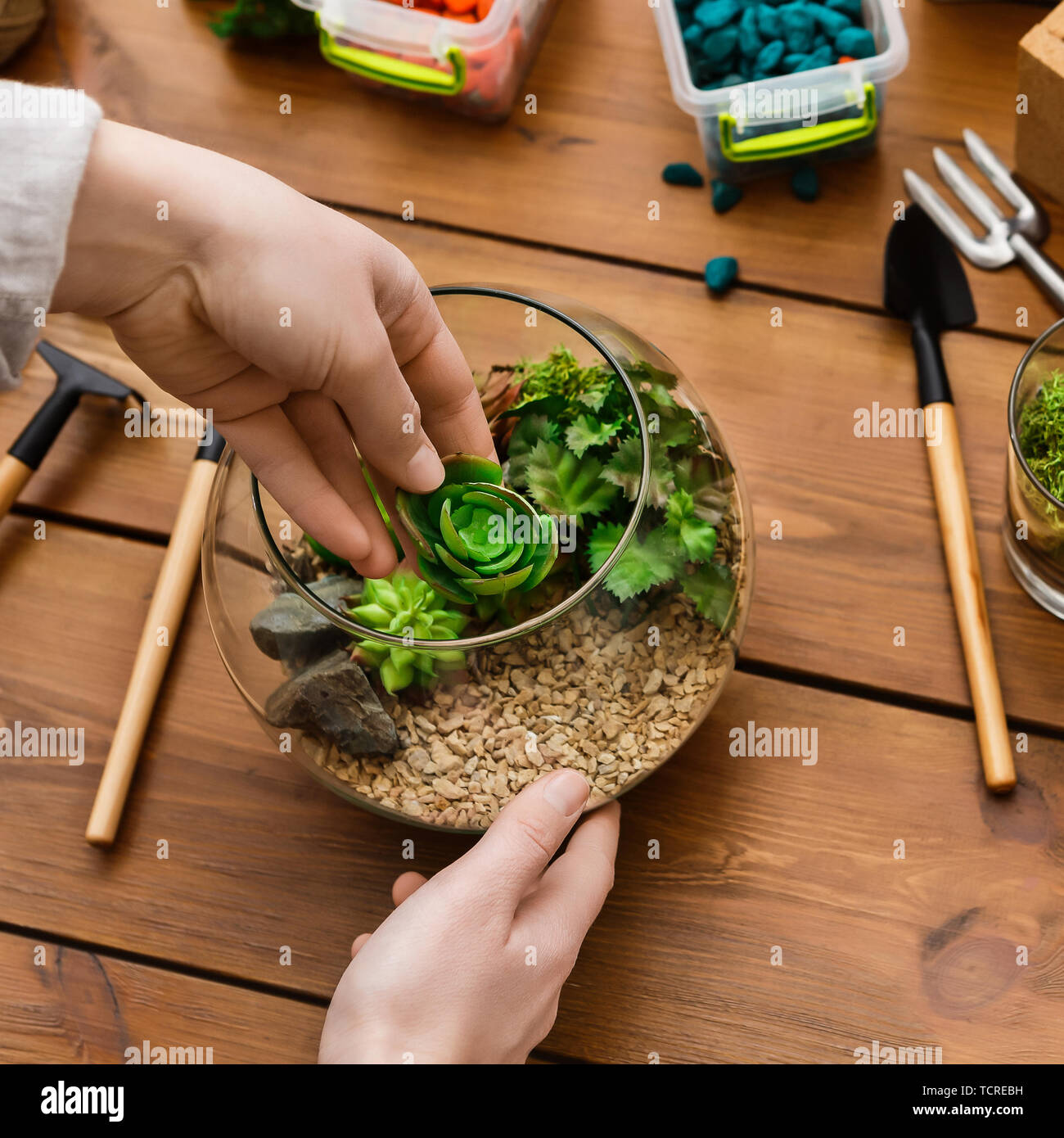 Home master class hi-res stock photography and images - Alamy