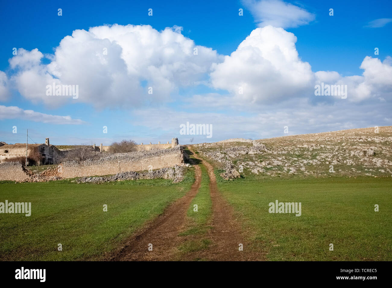 Landscape of Murgia plateau, wild countryside of Apulia. Italy Stock ...