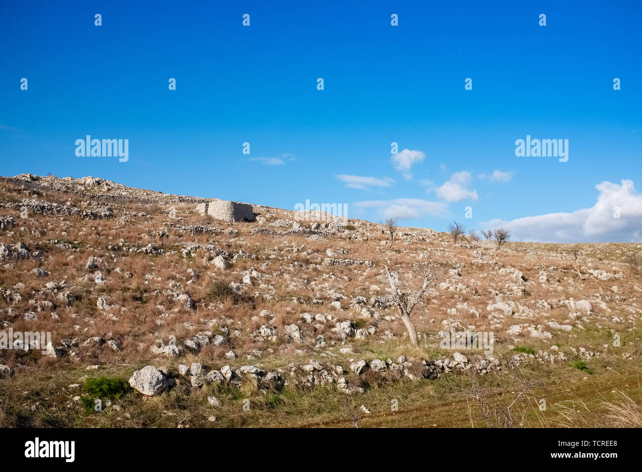 Landscape of Murgia plateau, wild countryside of Apulia. Italy Stock ...