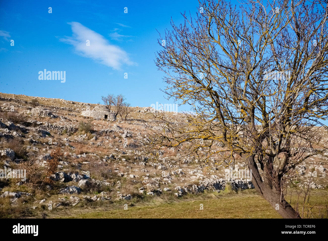 Landscape of Murgia plateau, wild countryside of Apulia. Italy Stock ...