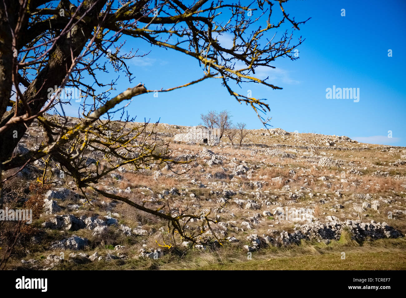 Landscape of Murgia plateau, wild countryside of Apulia. Italy Stock ...