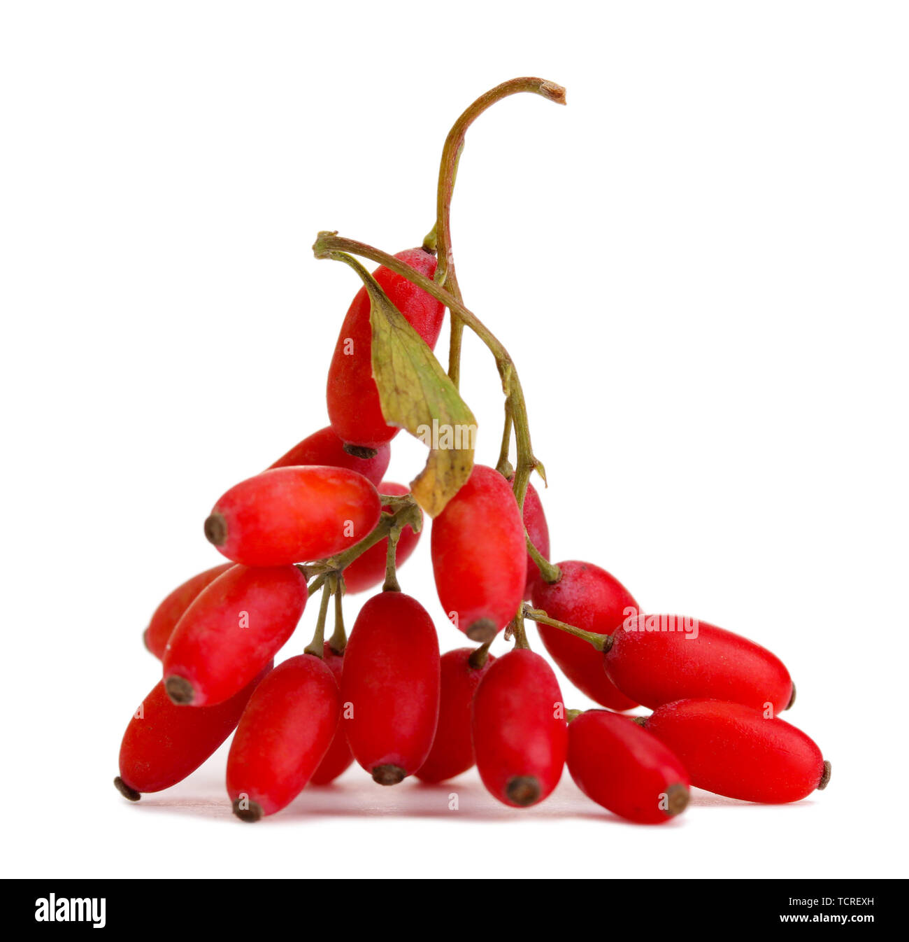 Barberries Cut Out Stock Images & Pictures - Alamy