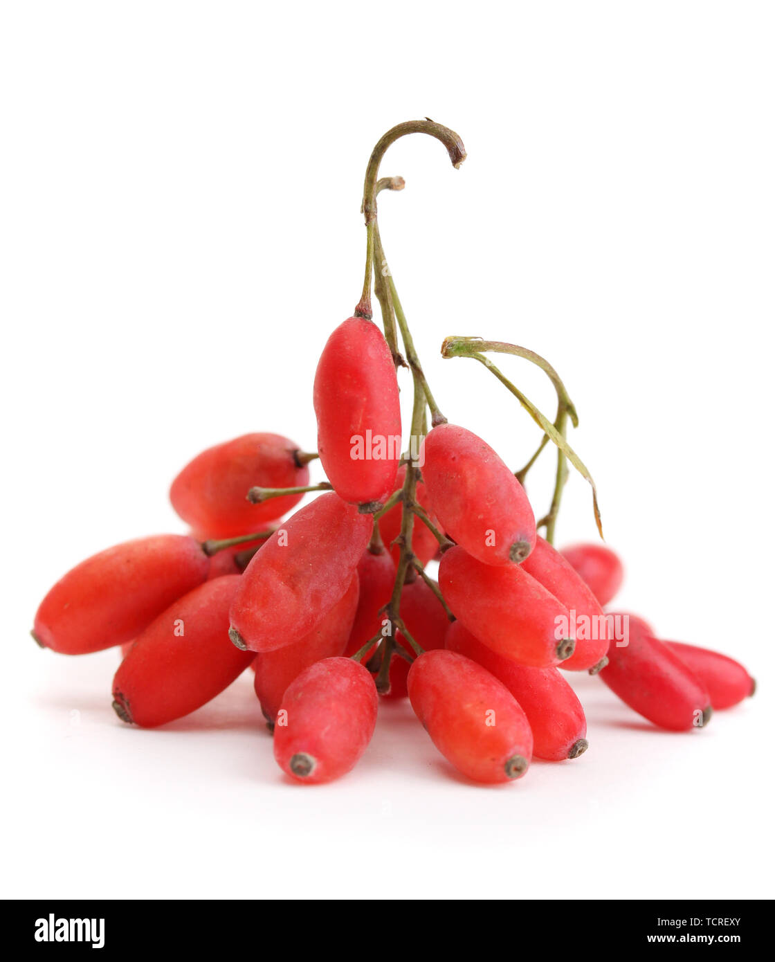 Barberries Cut Out Stock Images & Pictures - Alamy