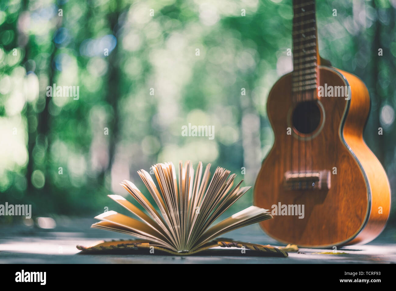 Guitar and diary Stock Photo - Alamy