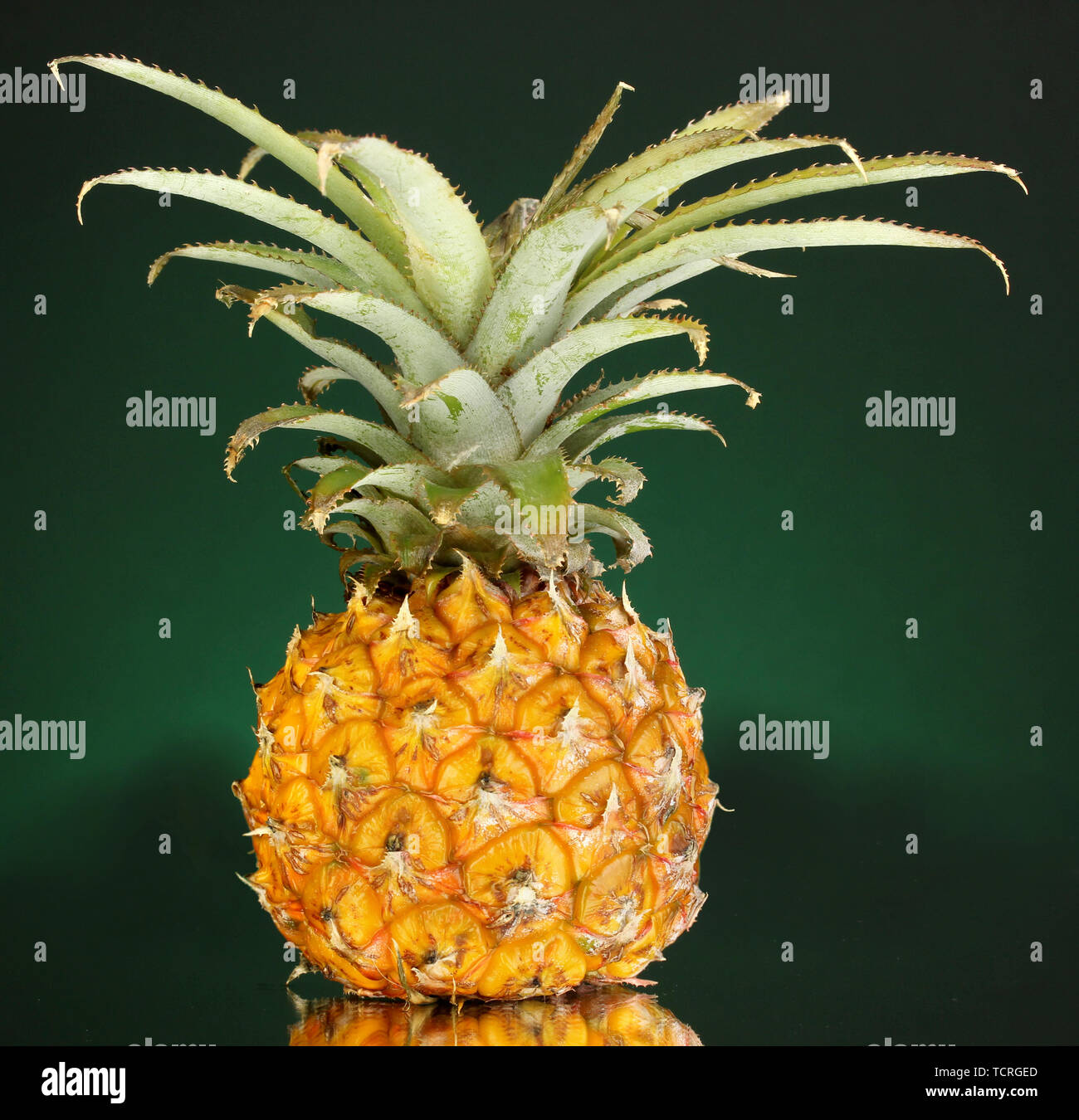 Ripe pineapple on dark green background Stock Photo - Alamy