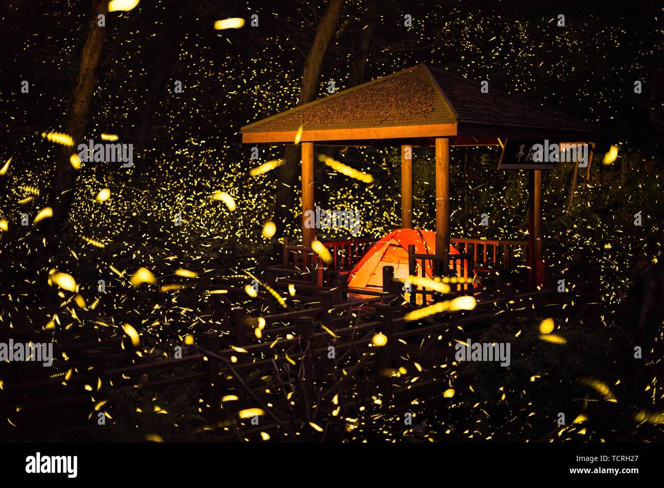 The insect endemic to summer --Firefly, filmed at Jiufeng Temple ...