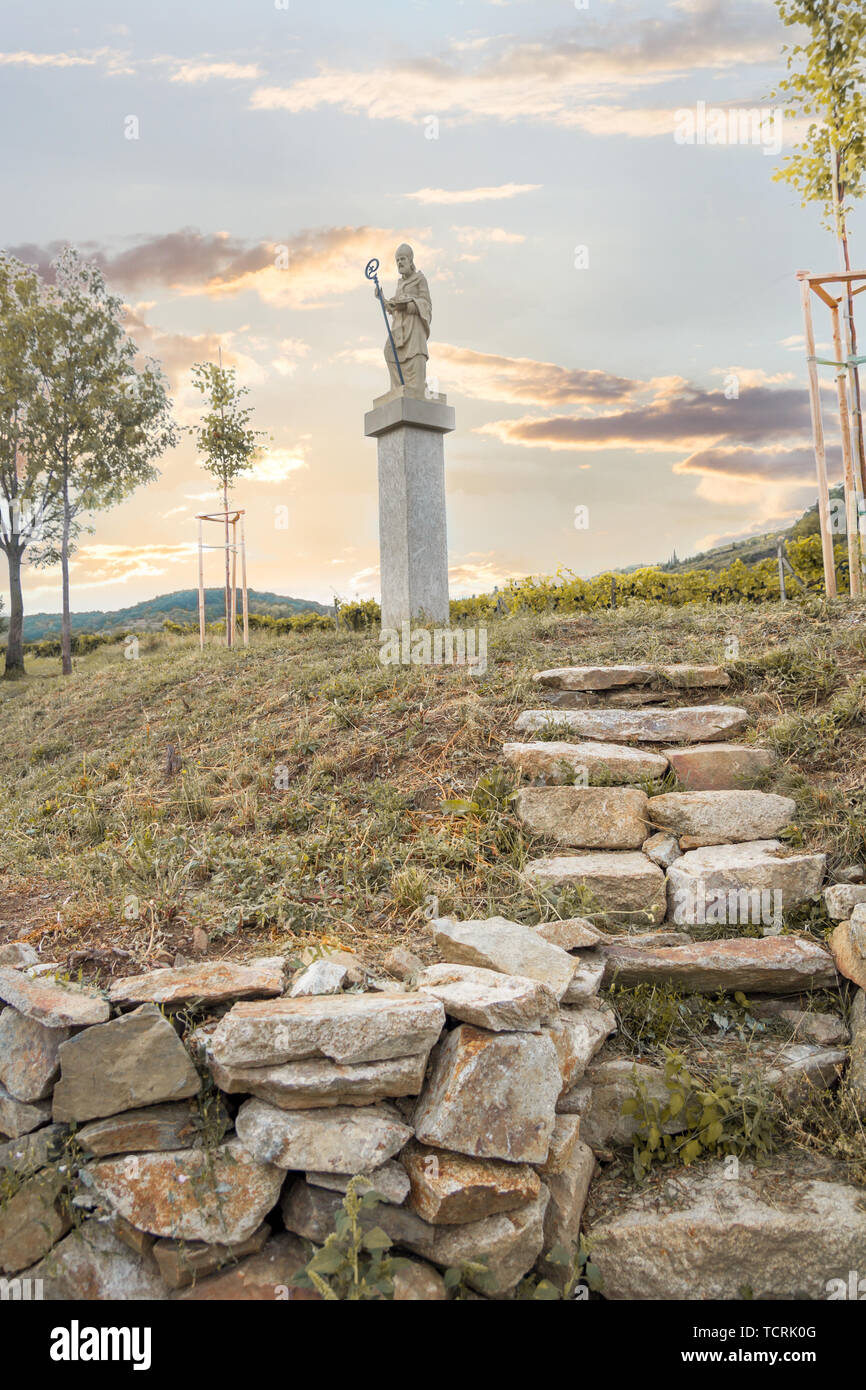 statue of saint Urban in vineyards Stock Photo - Alamy