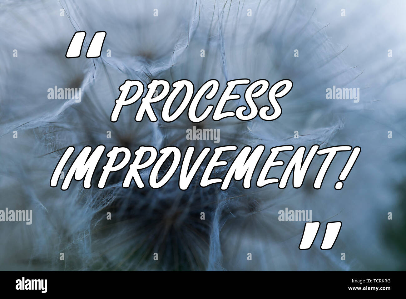 Conceptual hand writing showing Process Improvement. Concept meaning ...