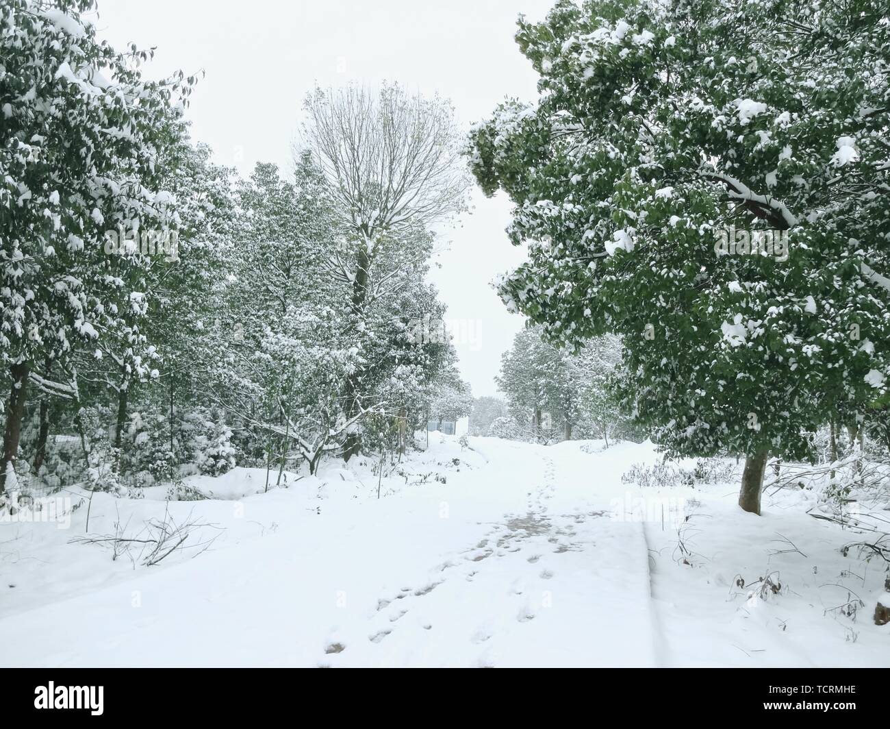 Frozen paths hi-res stock photography and images - Alamy