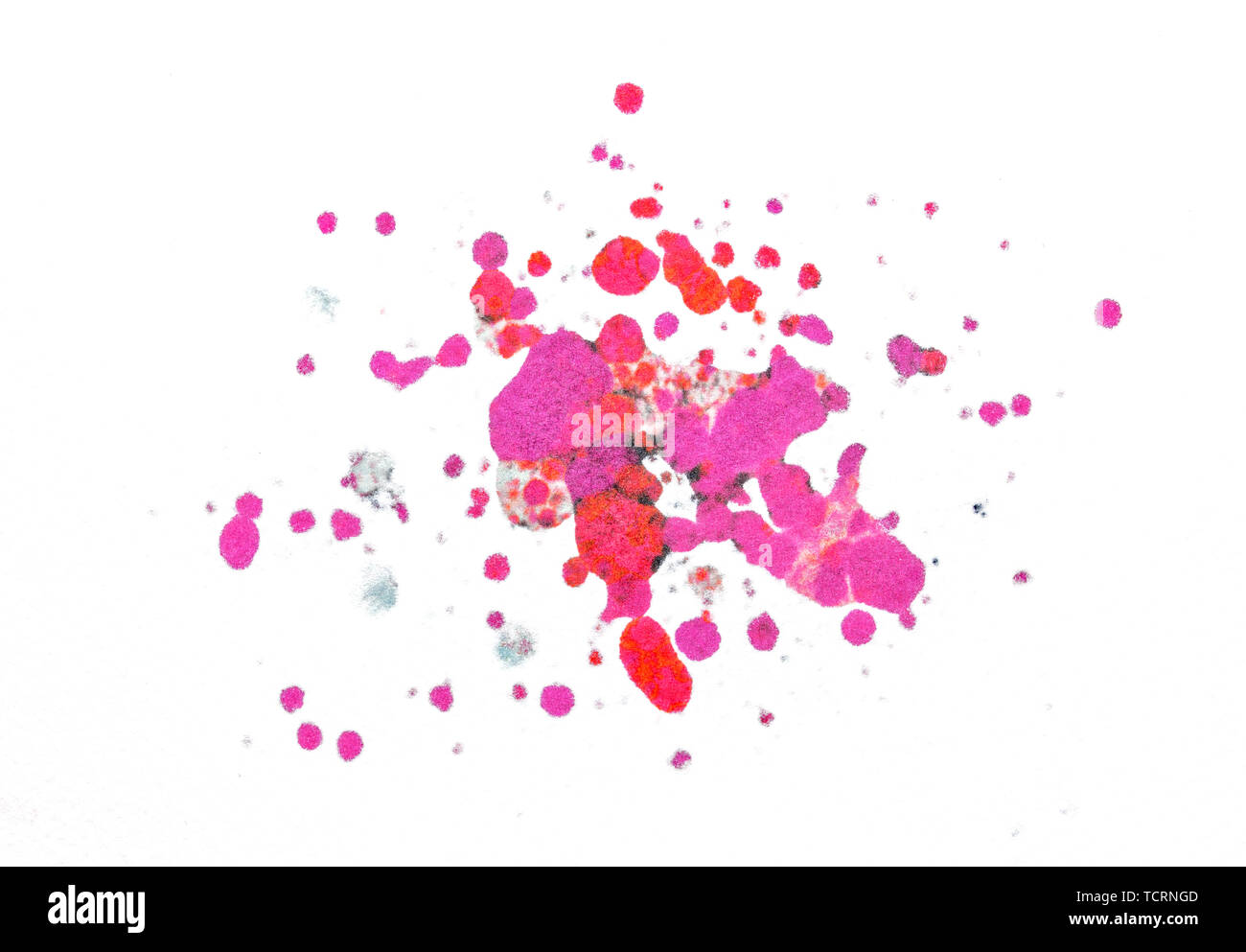 Splatter paint isolated on white background made with punchy magenta ...