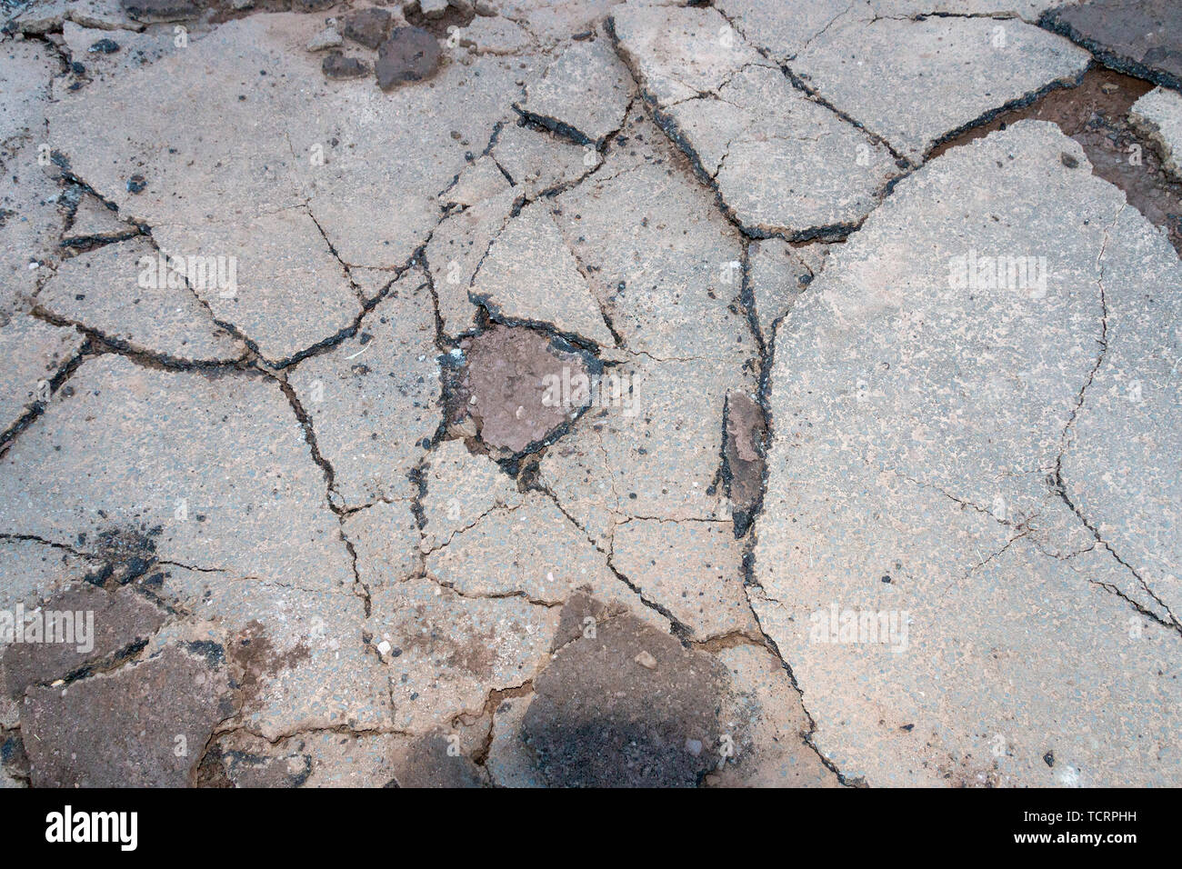 A close up view of an old driveway where the tar has been broken up ...