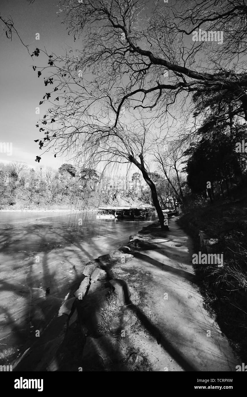 The withered branches, the path Stock Photo - Alamy