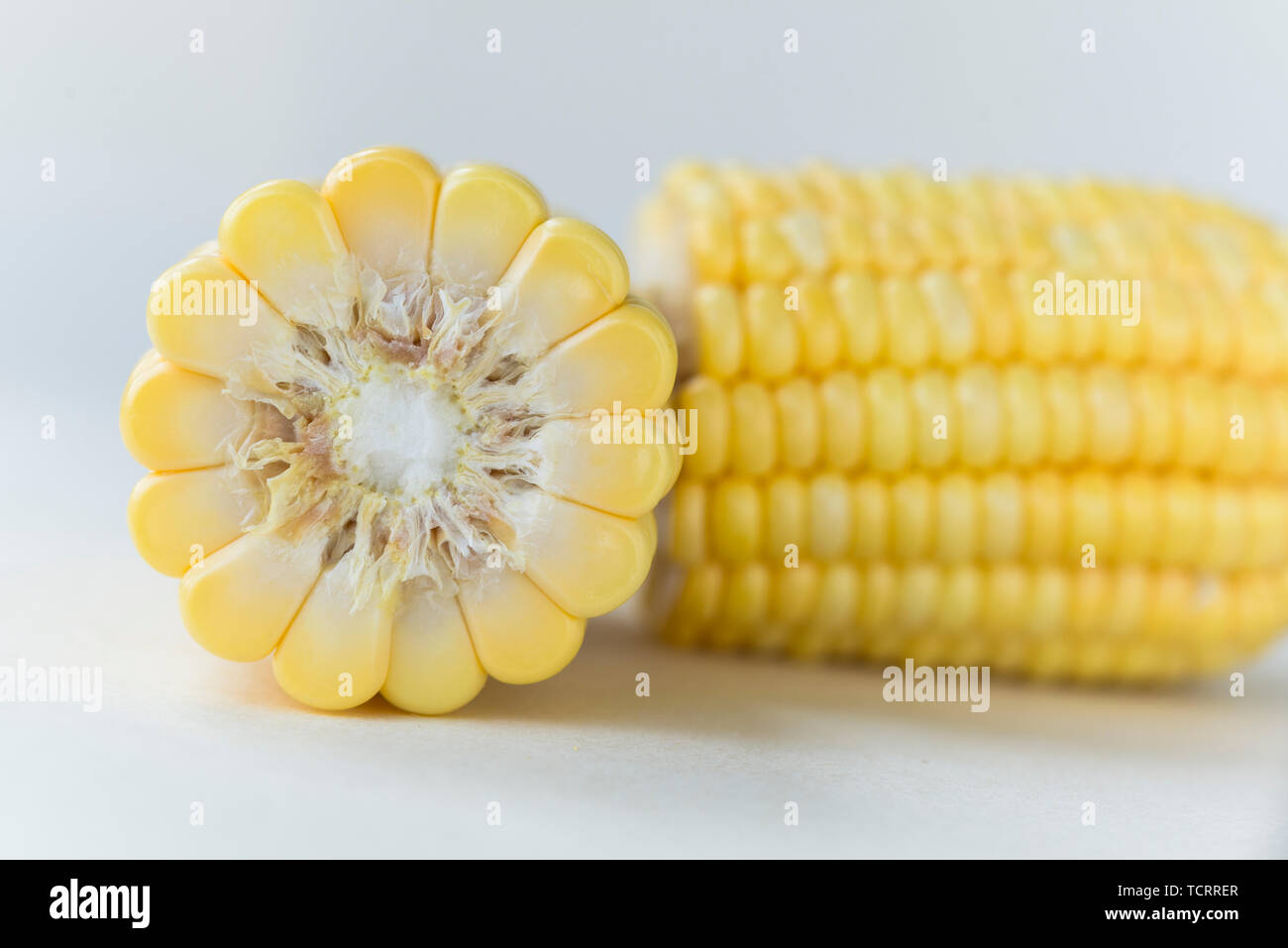 Corn Cross Section Stock Photos & Corn Cross Section Stock Images - Alamy