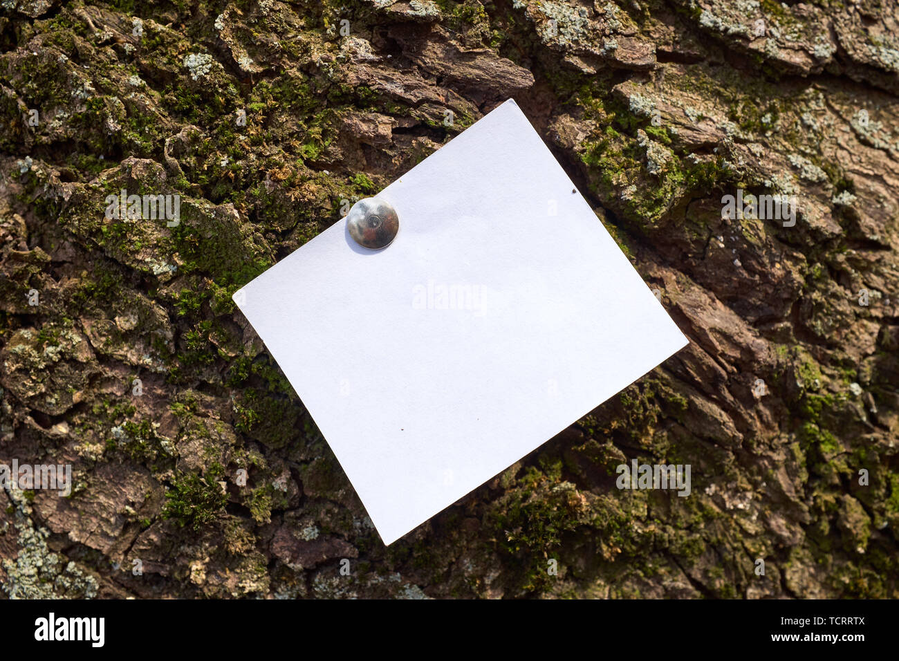 Sticked paper hi-res stock photography and images - Alamy