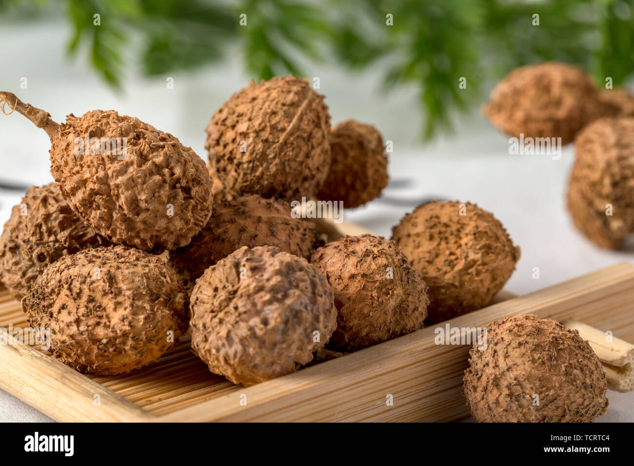 Traditional Chinese medicine single close-up sand kernel Stock Photo ...