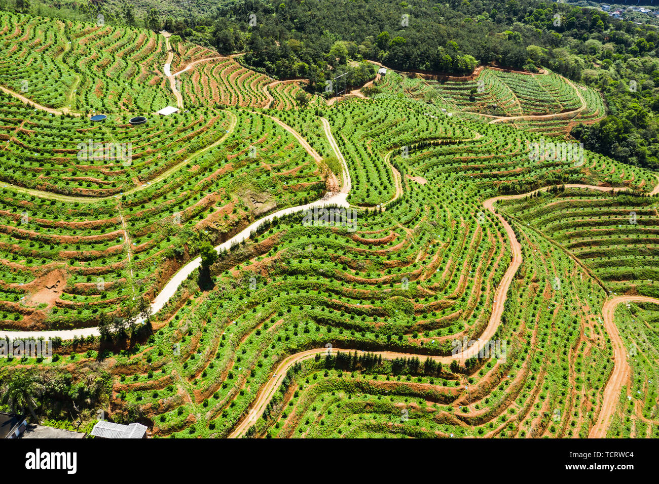 Yongchun High Resolution Stock Photography and Images - Alamy