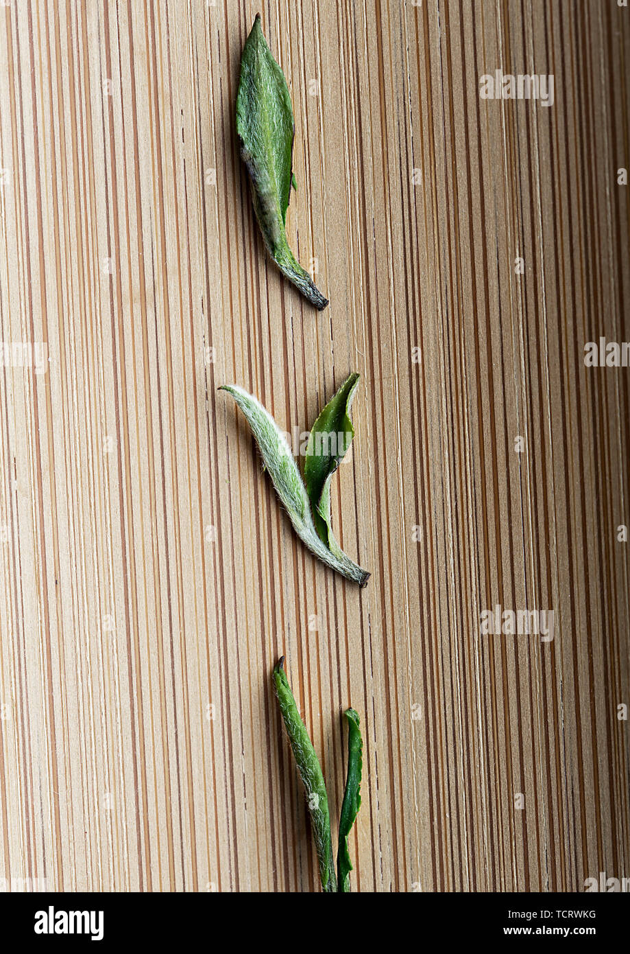 Mao bird hi-res stock photography and images - Alamy