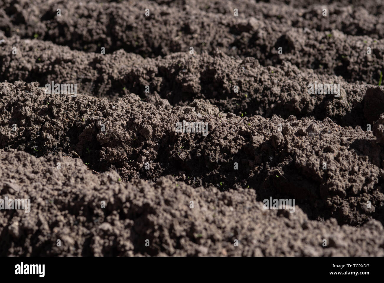 Wet land hi-res stock photography and images - Alamy