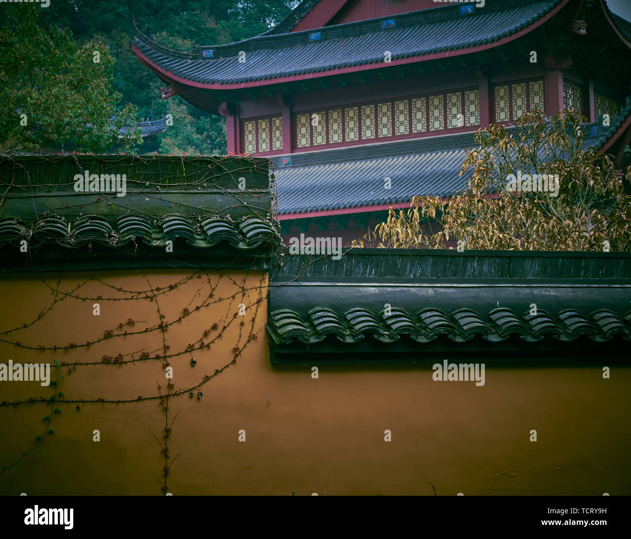 Tianzhu mountains hi-res stock photography and images - Alamy