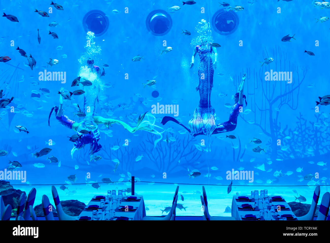 Mermaid performance at Haichang Ocean Park, Shanghai Stock Photo - Alamy