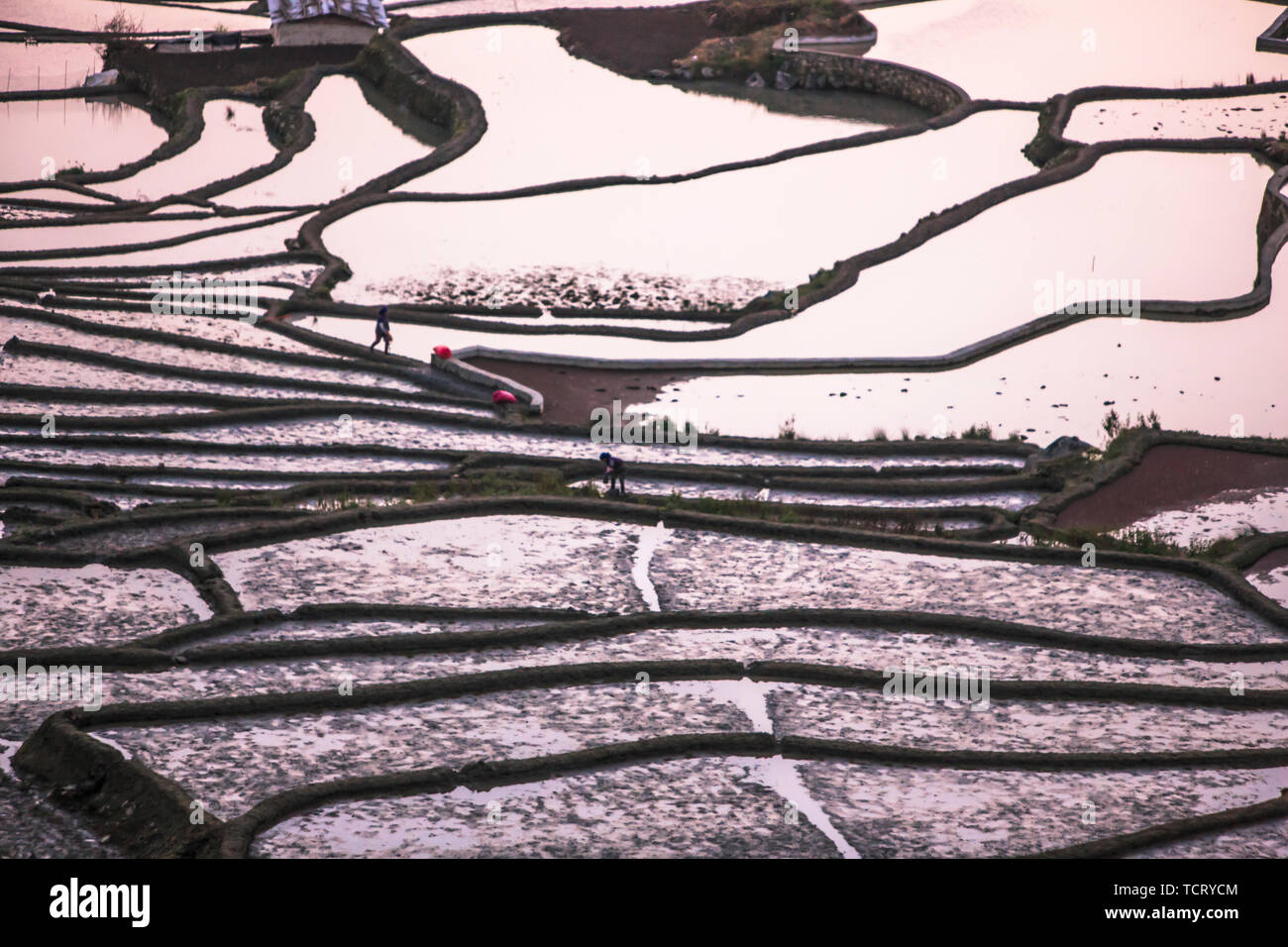 Tangkou hi-res stock photography and images - Alamy