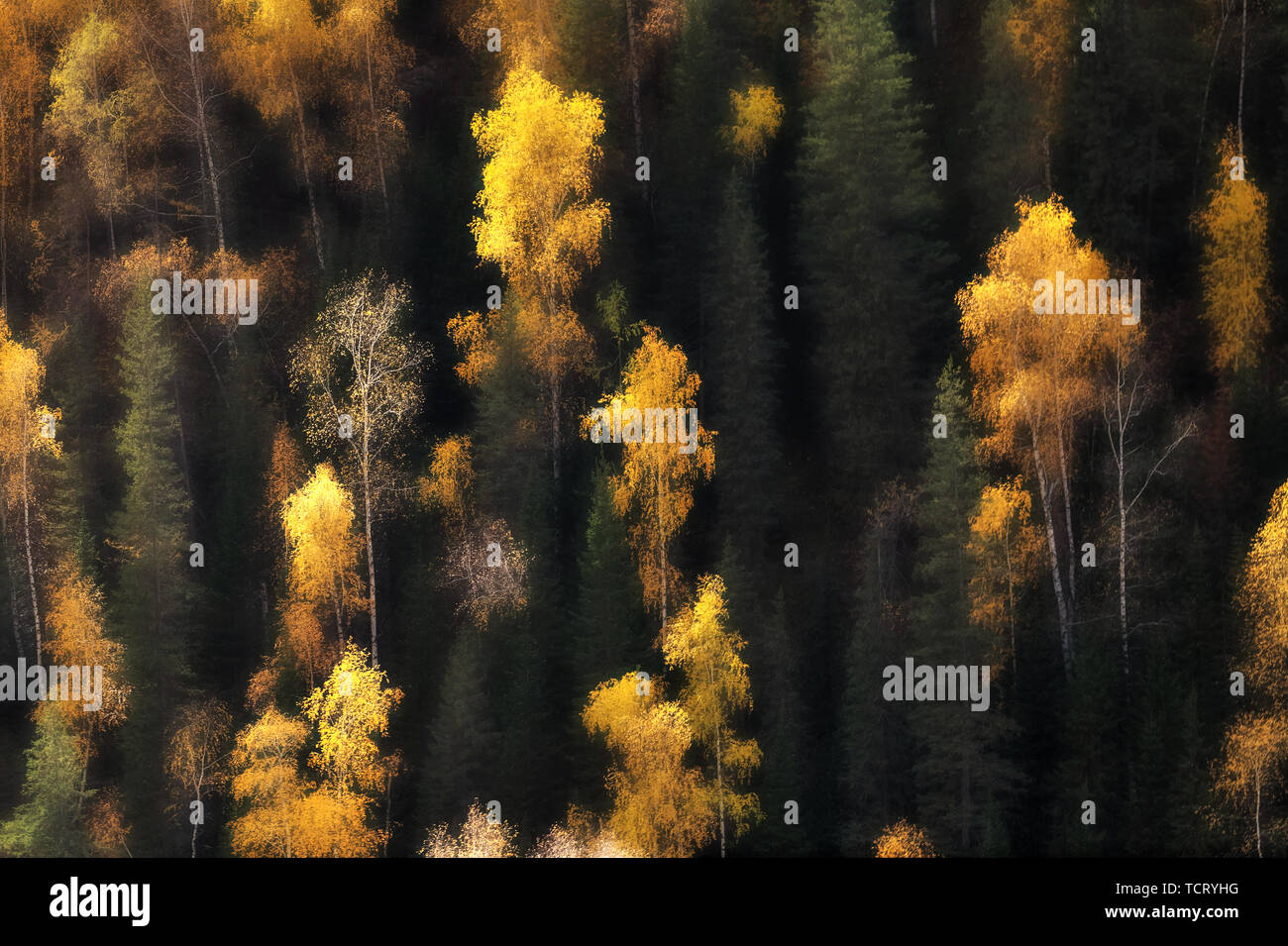 Fall drawing board Stock Photo - Alamy