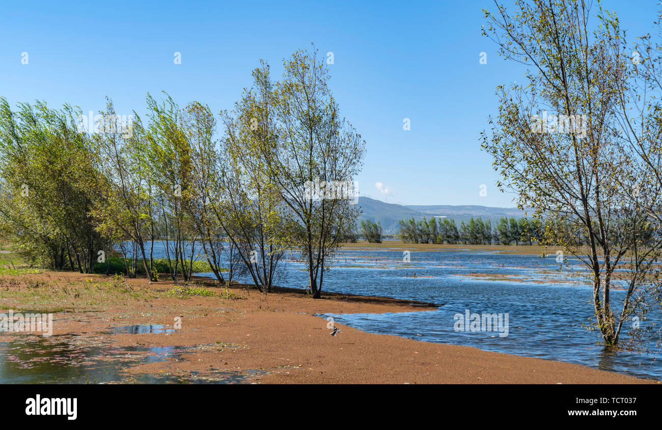 La city sea scenery Stock Photo - Alamy