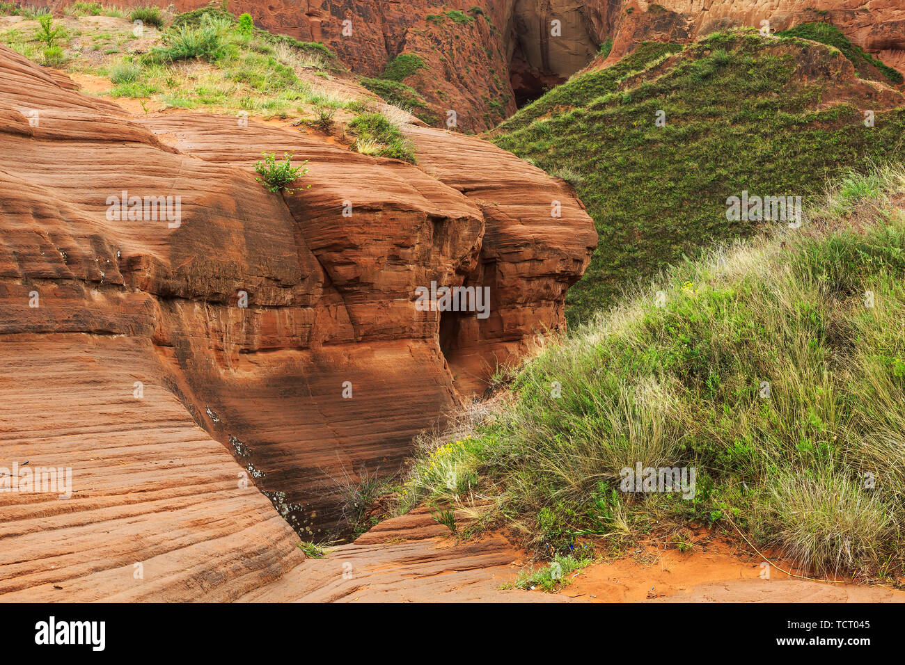 The Valley of the Danforth Stock Photo - Alamy