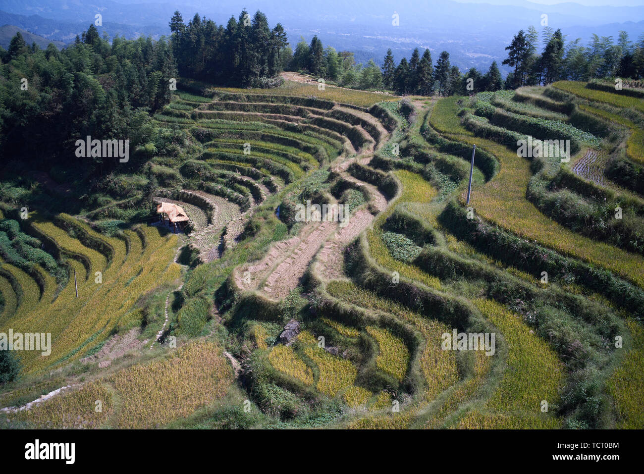 Hunan Purple Magpie Terrace Stock Photo - Alamy
