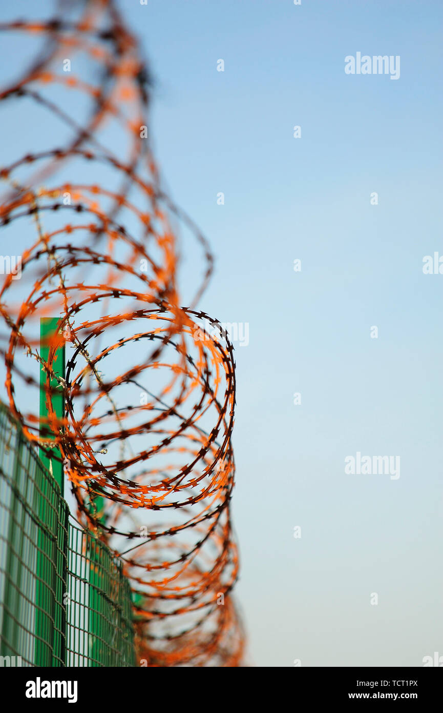 Roll of razor wire on top of security fence Stock Photo - Alamy